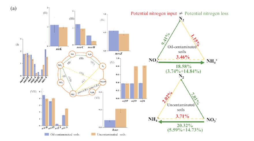 Gao Huan | Xi’an University of Architecture and Technology