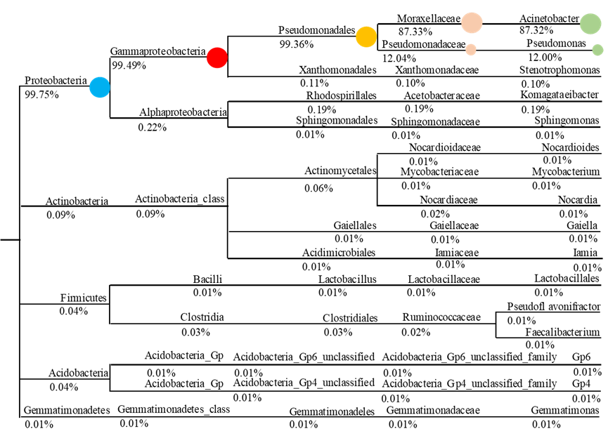 Gao Huan | Xi’an University of Architecture and Technology